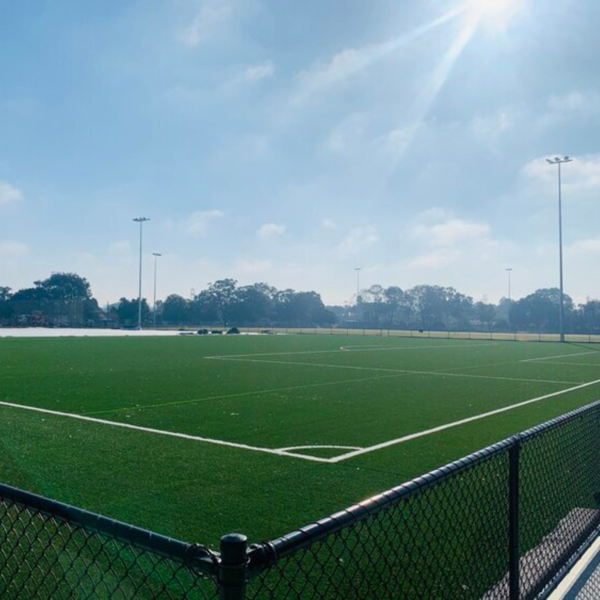 An Opportunity for an All-Weather Field - Vote Now